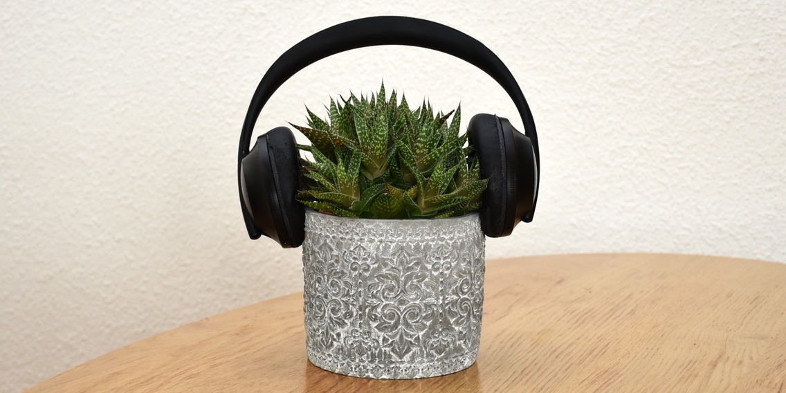 Do your plants like metal? - Galaxus